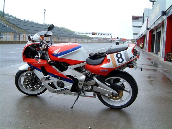HONDA CBR400RR NC29 性感的小花貓 - 重機老野郎
